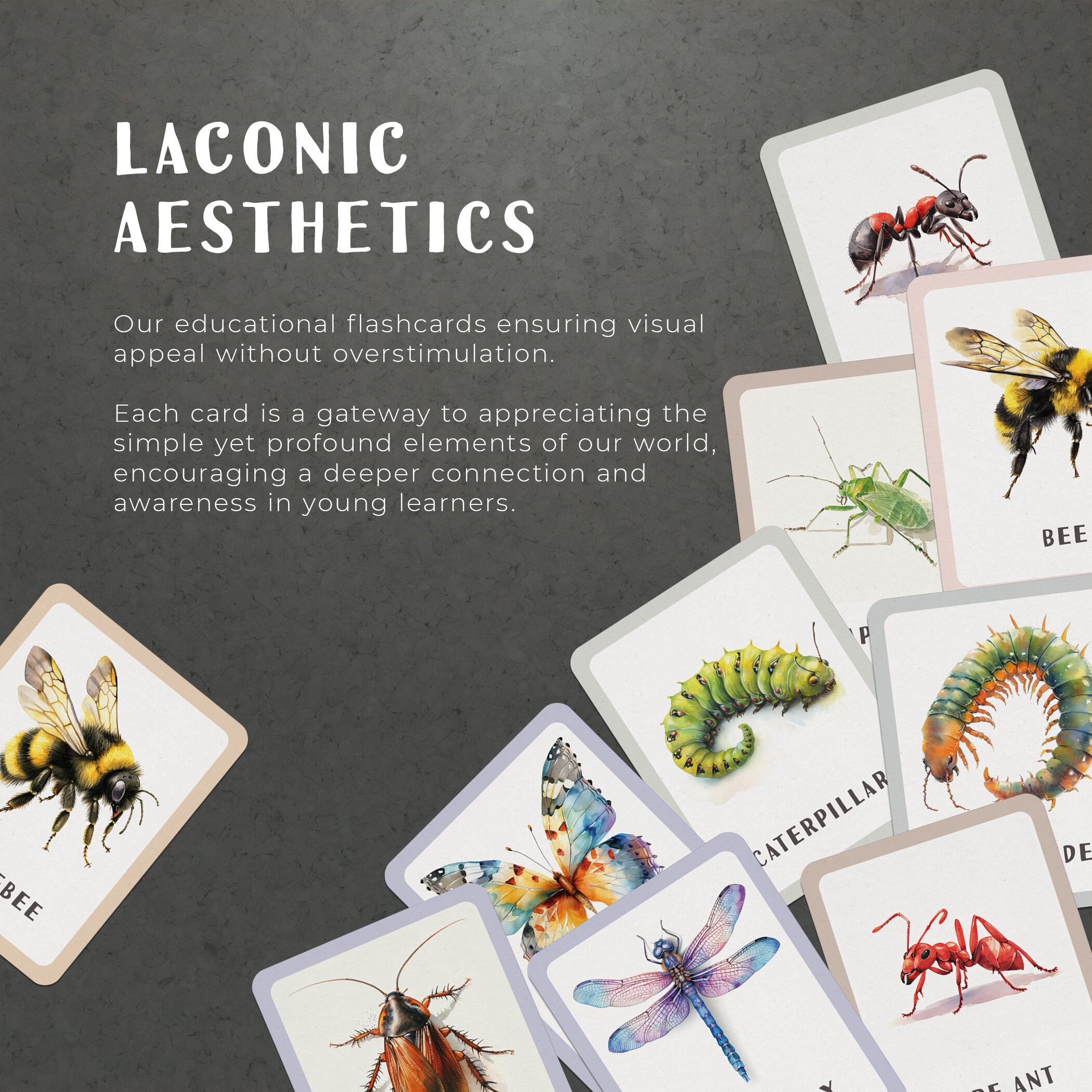 Montessori Insect and Bug Flashcards Printable Educational Cards for ...