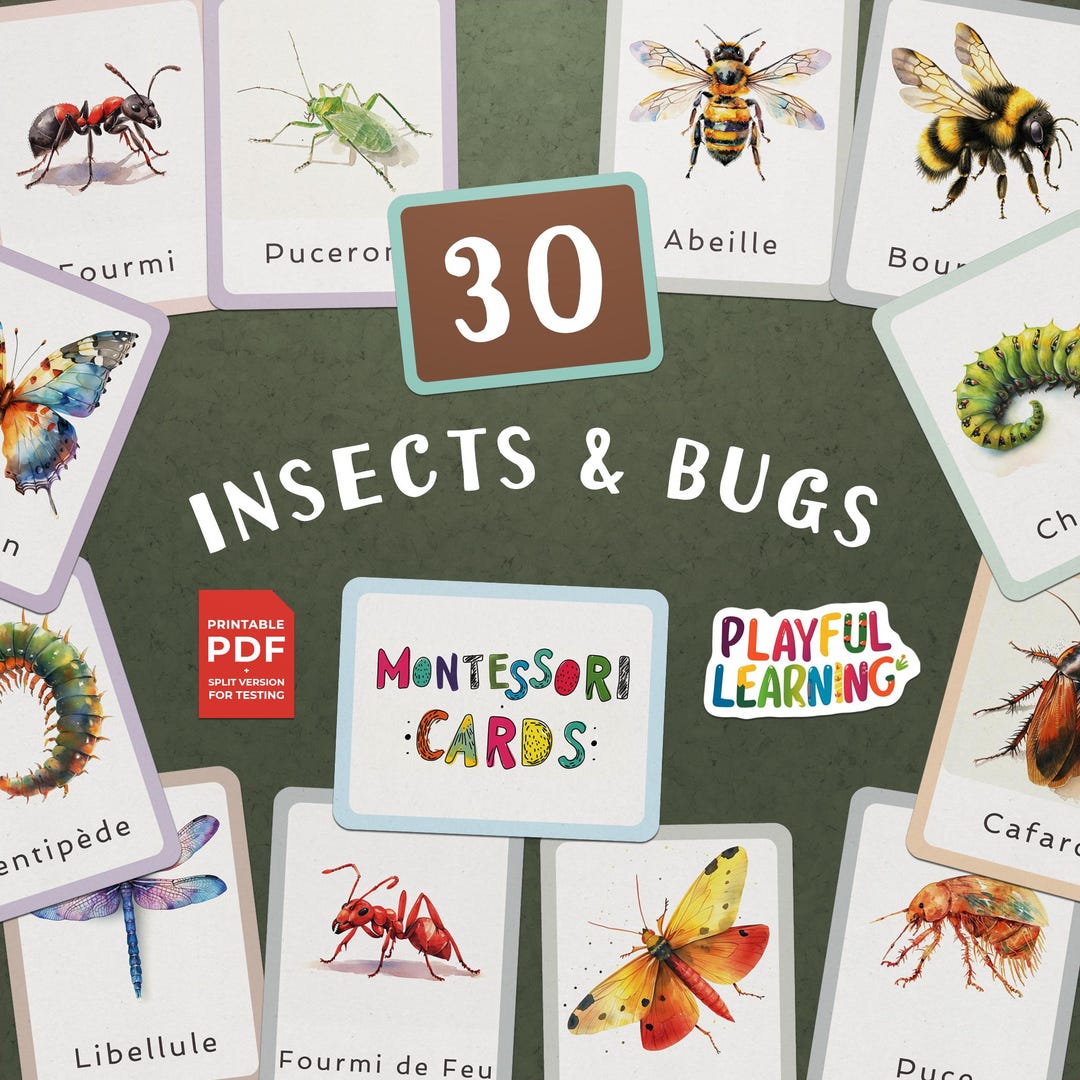 Montessori Insect and Bug Flashcards - Printable Educational Cards for ...
