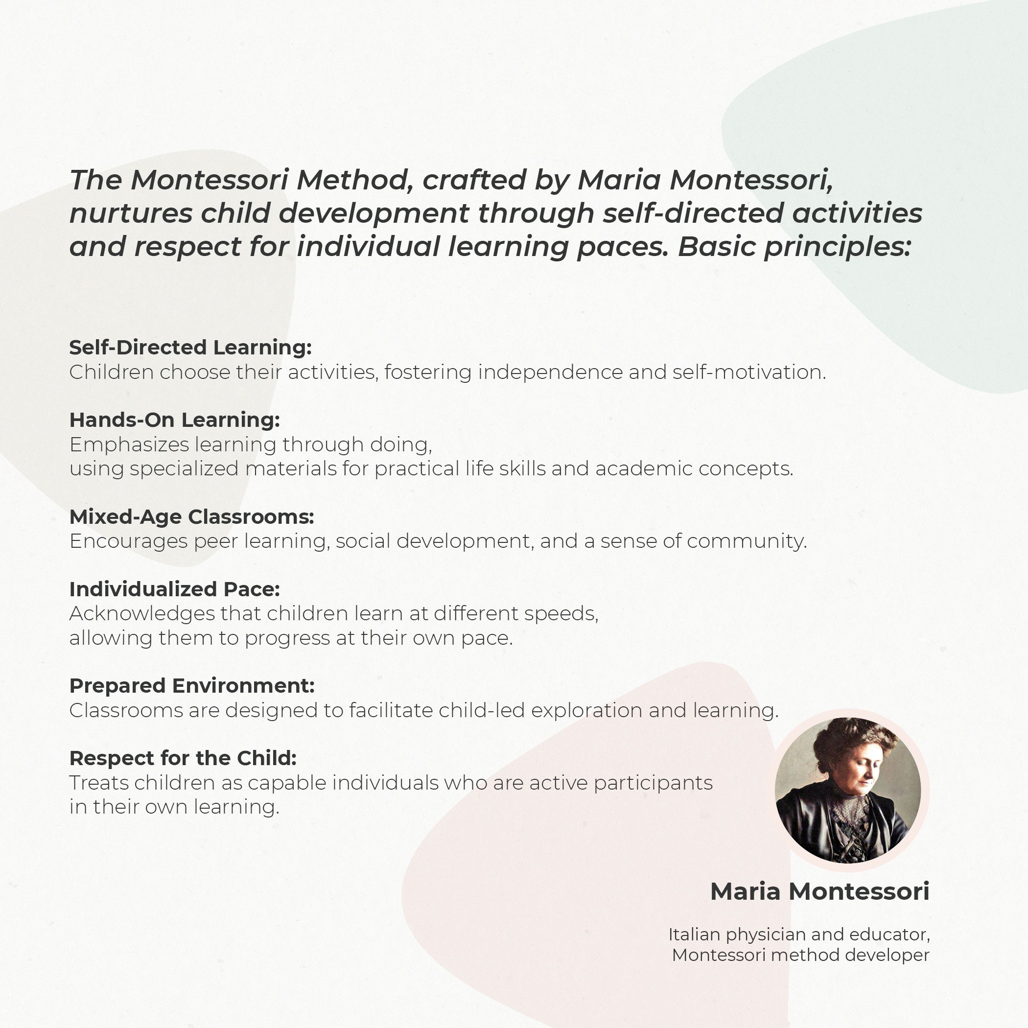 Montessori Flower Cards Printable Educational Flashcards for Kids ...