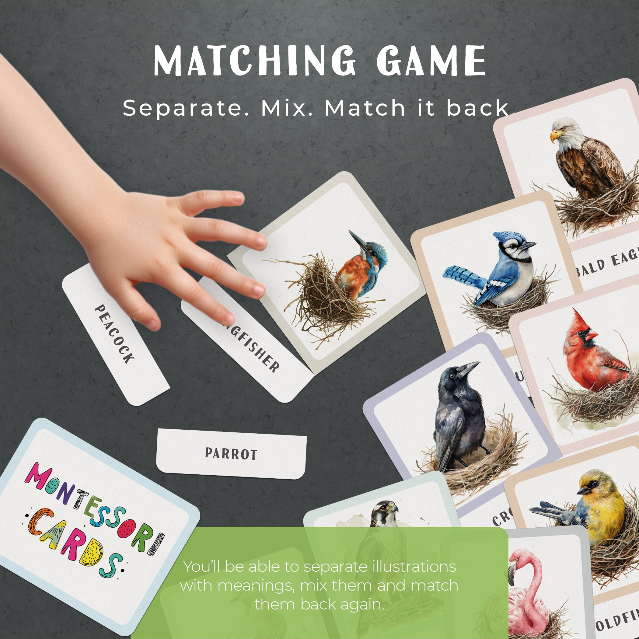 Montessori Cards: Birds and Their Nests Educational Flashcards for Kids ...