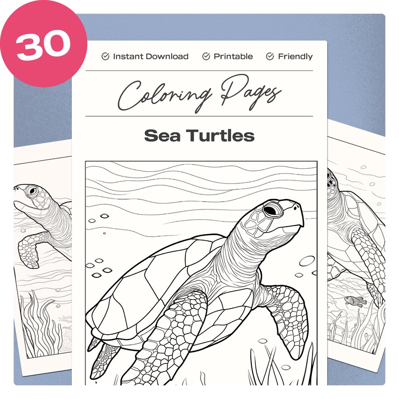 Sea Turtles Grayscale Coloring Pages, Underwater Scene, Marine Life ...
