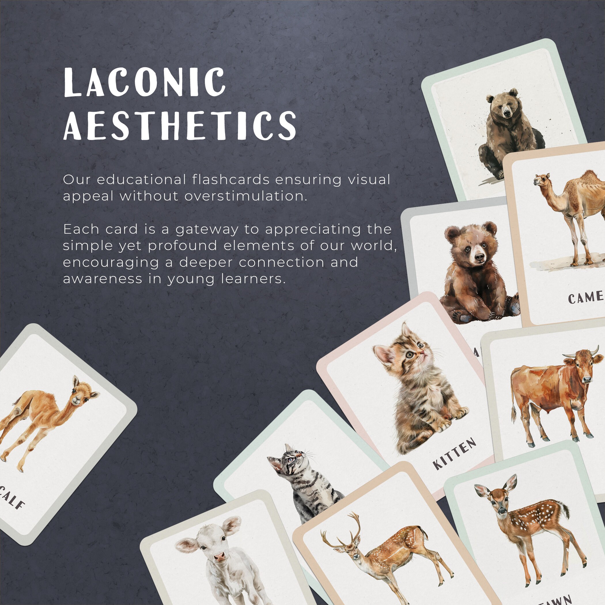 Montessori Animals and Babies Cards Printable Educational Flashcards ...