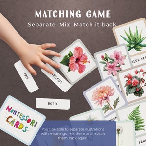 Montessori Garden Plants Flashcards - Educational Printable for Kids ...