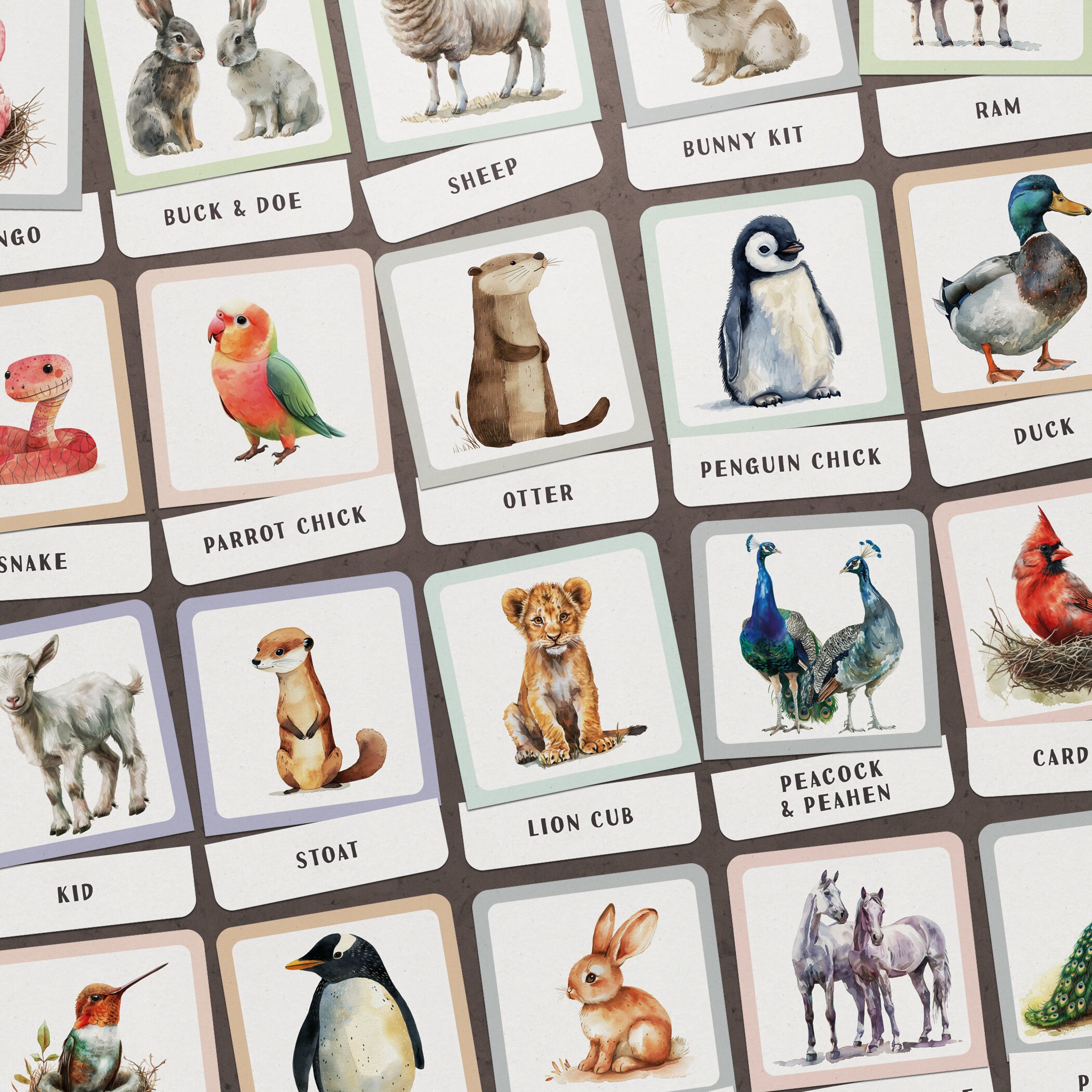 Montessori Animal Flash Cards PDF Bundle. Printable Learning Tools for ...