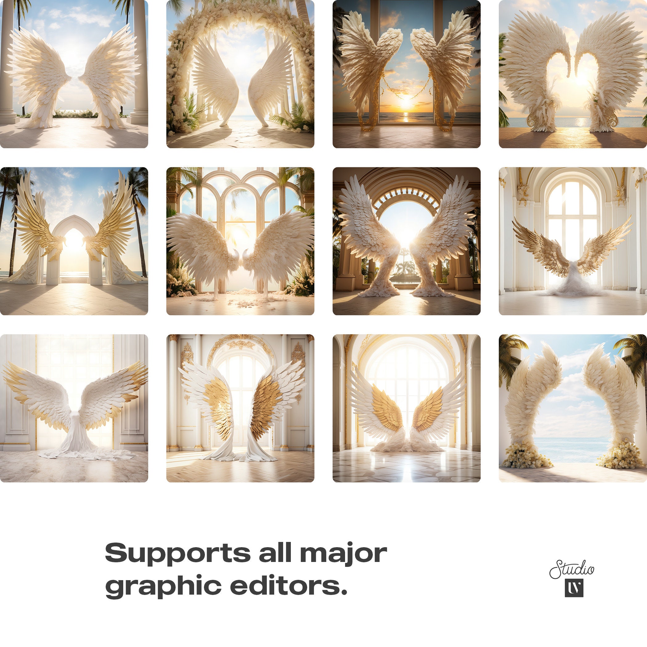 Large Angel Wings Digital Photo Backdrops - Angel Wings Backdrops ...