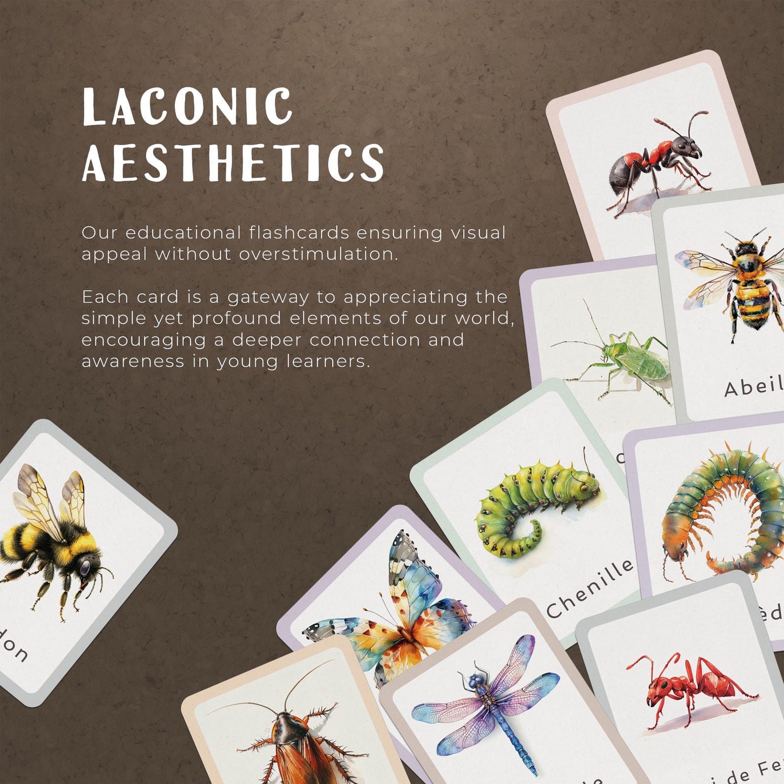Montessori Insect and Bug Flashcards - Printable Educational Cards for ...