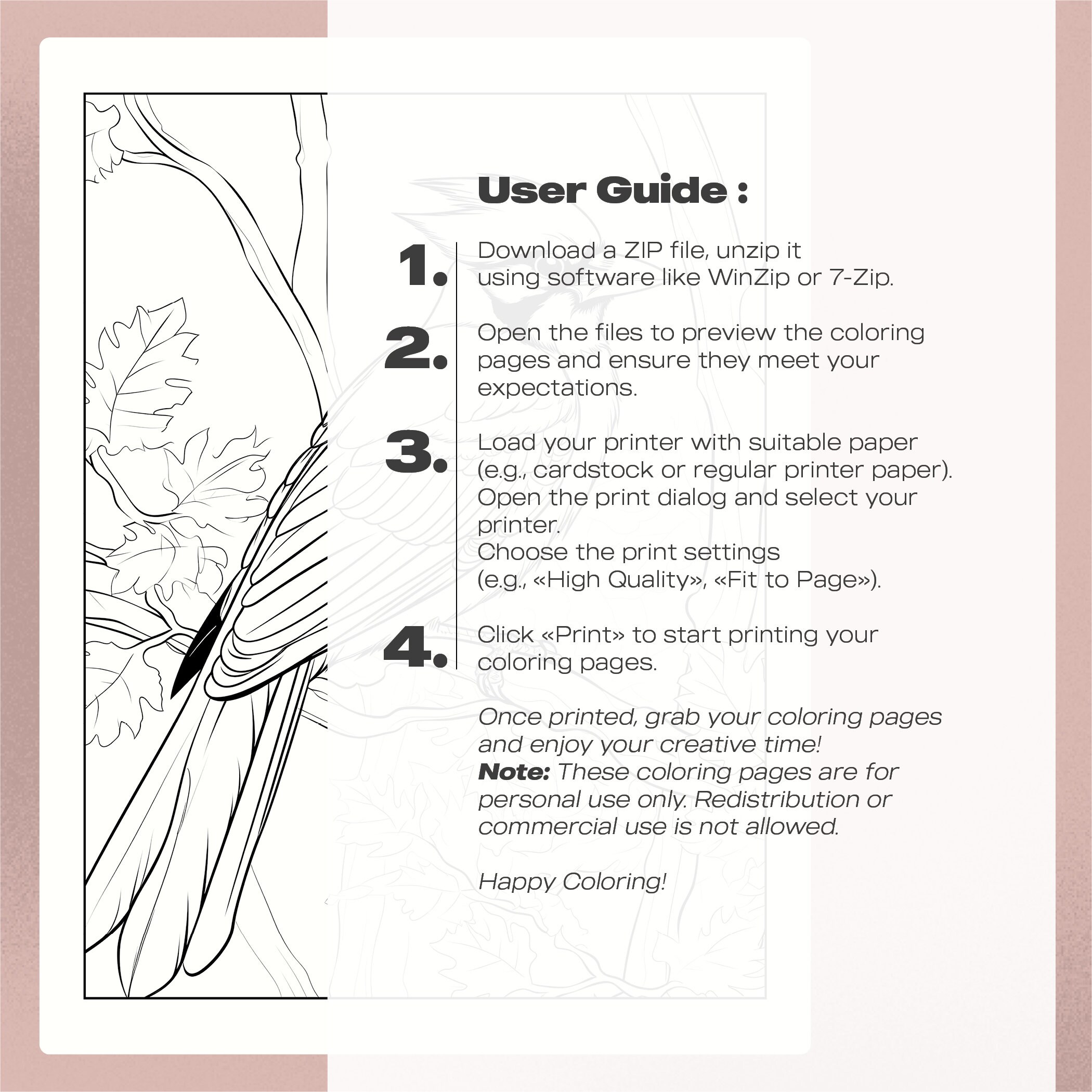 Blue Jay Bird Coloring Page, Bird Sketch, Nature Print, Ornate Outline ...