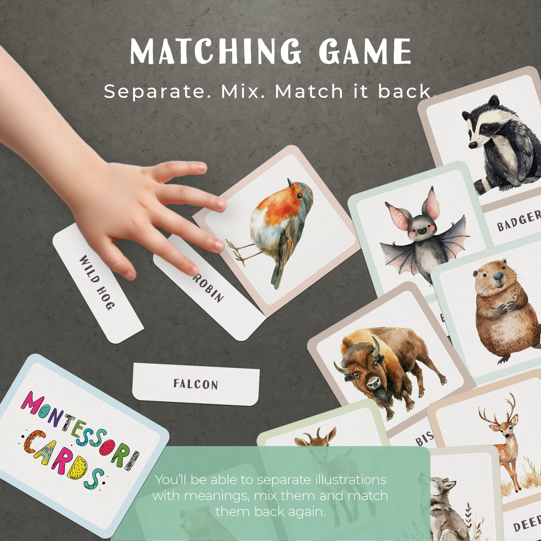 Montessori Forest Wildlife Cards - Printable Educational Flashcards for ...