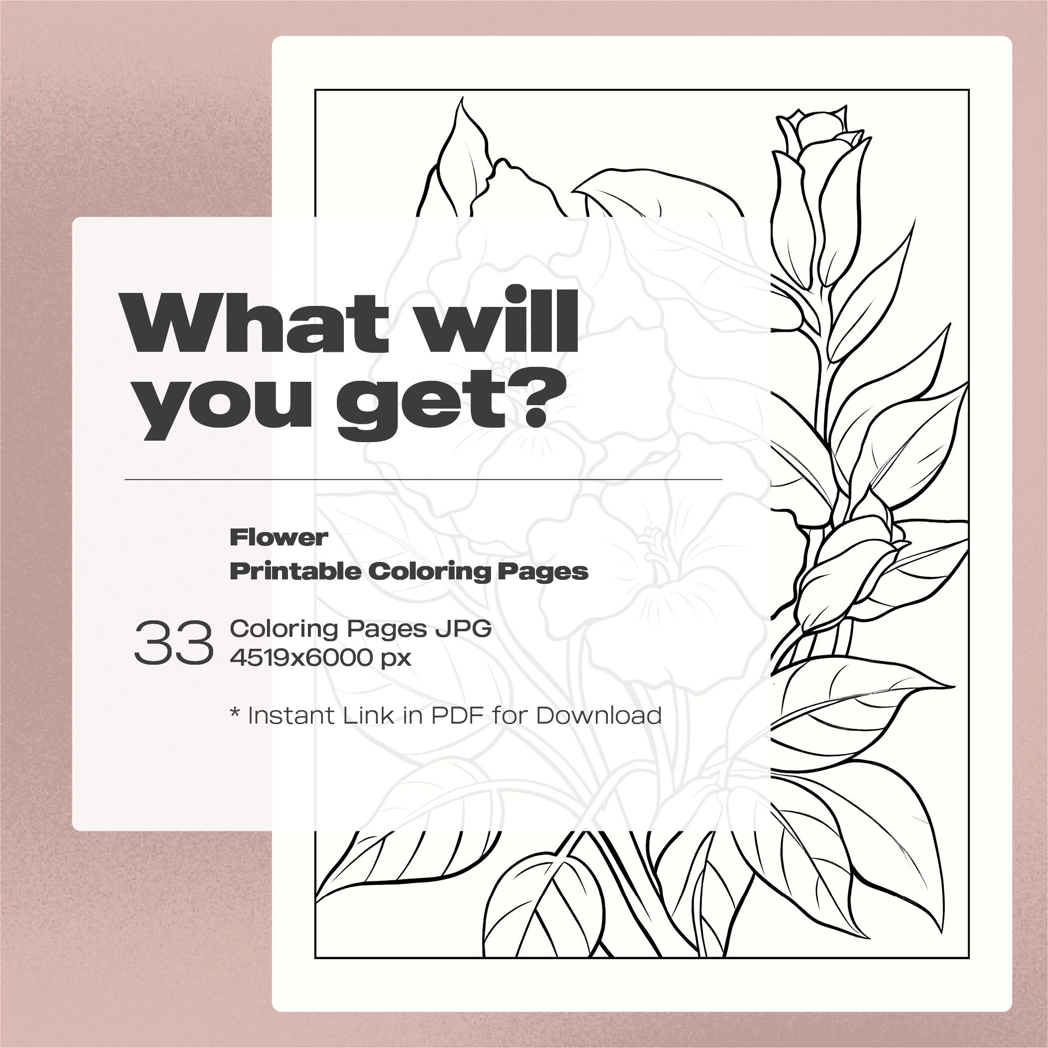 Flower Coloring Book Pages Collection, Flower Illustrations, Floral ...