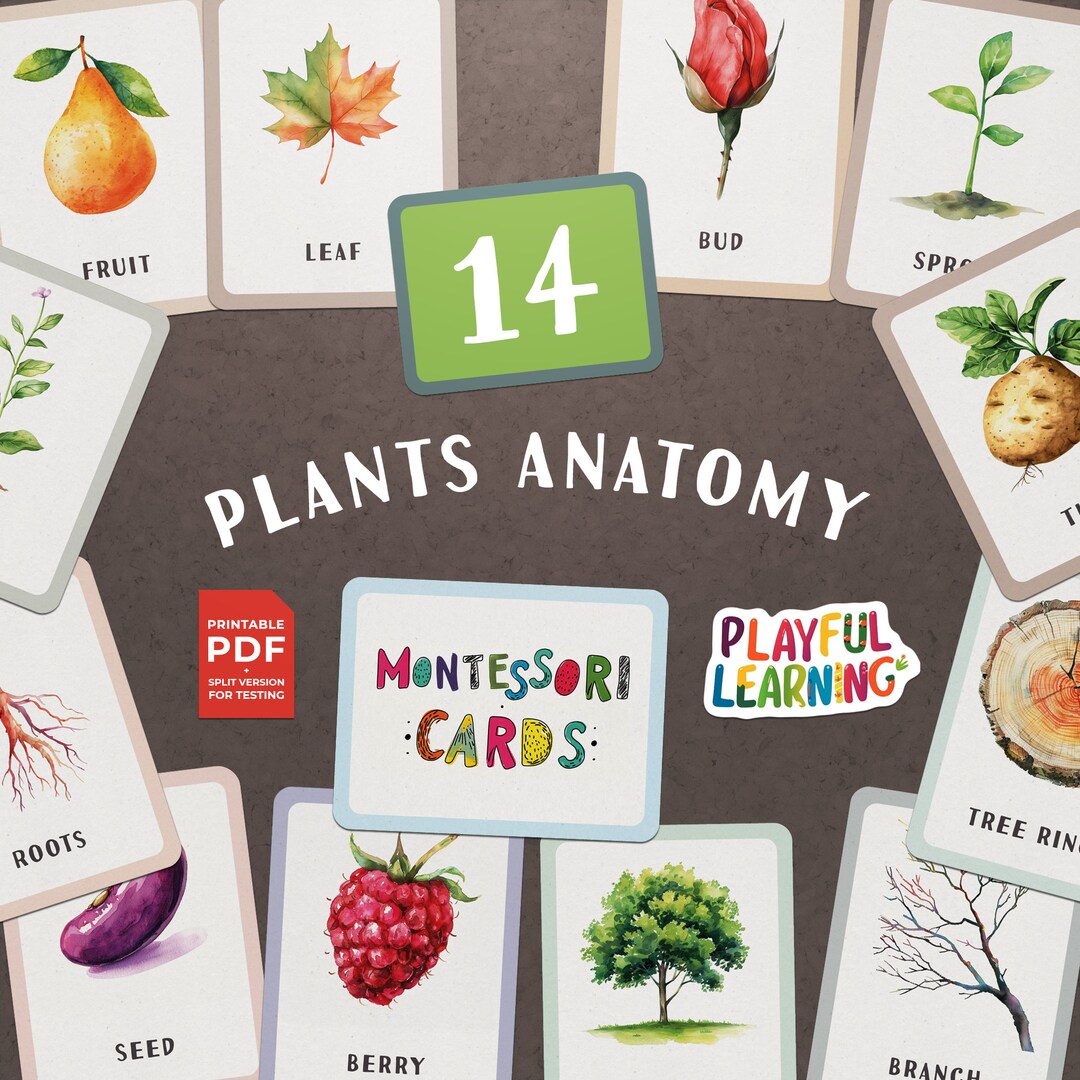 Montessori Anatomy of Plants Educational Cards - Printable Flashcards ...