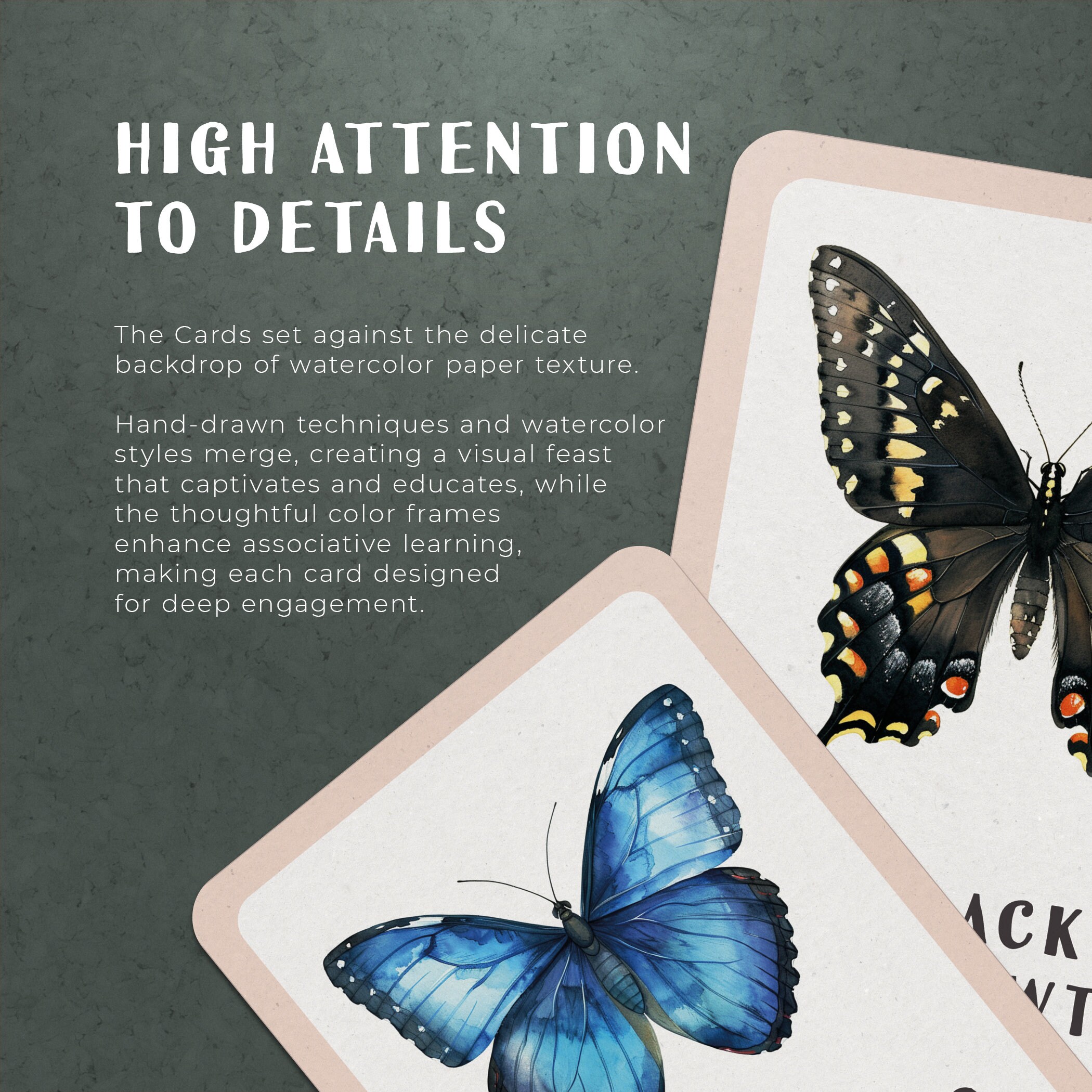Montessori Butterfly Species Cards - Printable Educational Flashcards ...