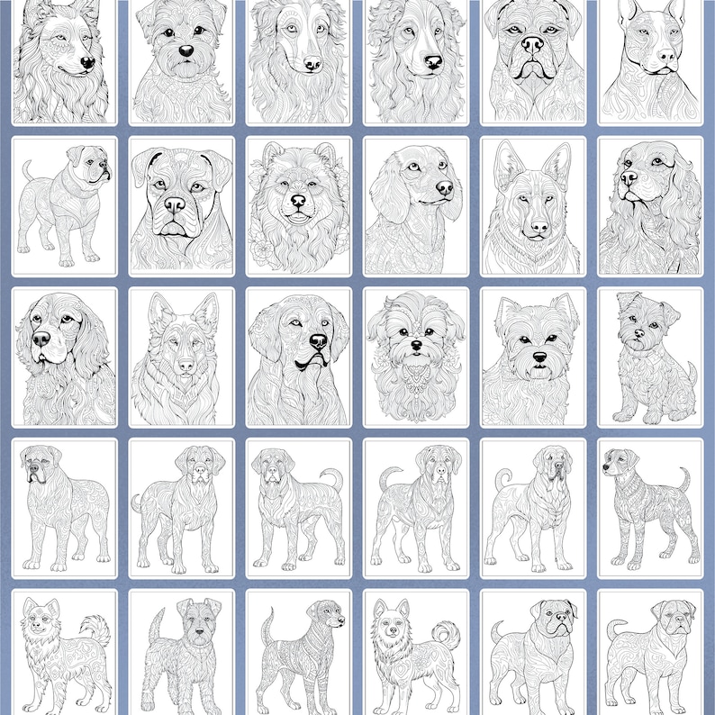 Dog Breeds Animal Coloring Pages. Animal Art, Pet Outlines, Floral ...