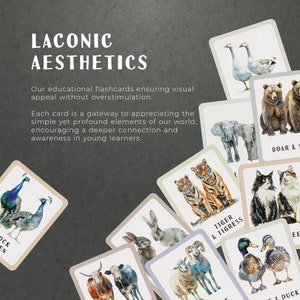 Montessori Animal Gender Cards - Printable Flashcards for Kids Learning ...