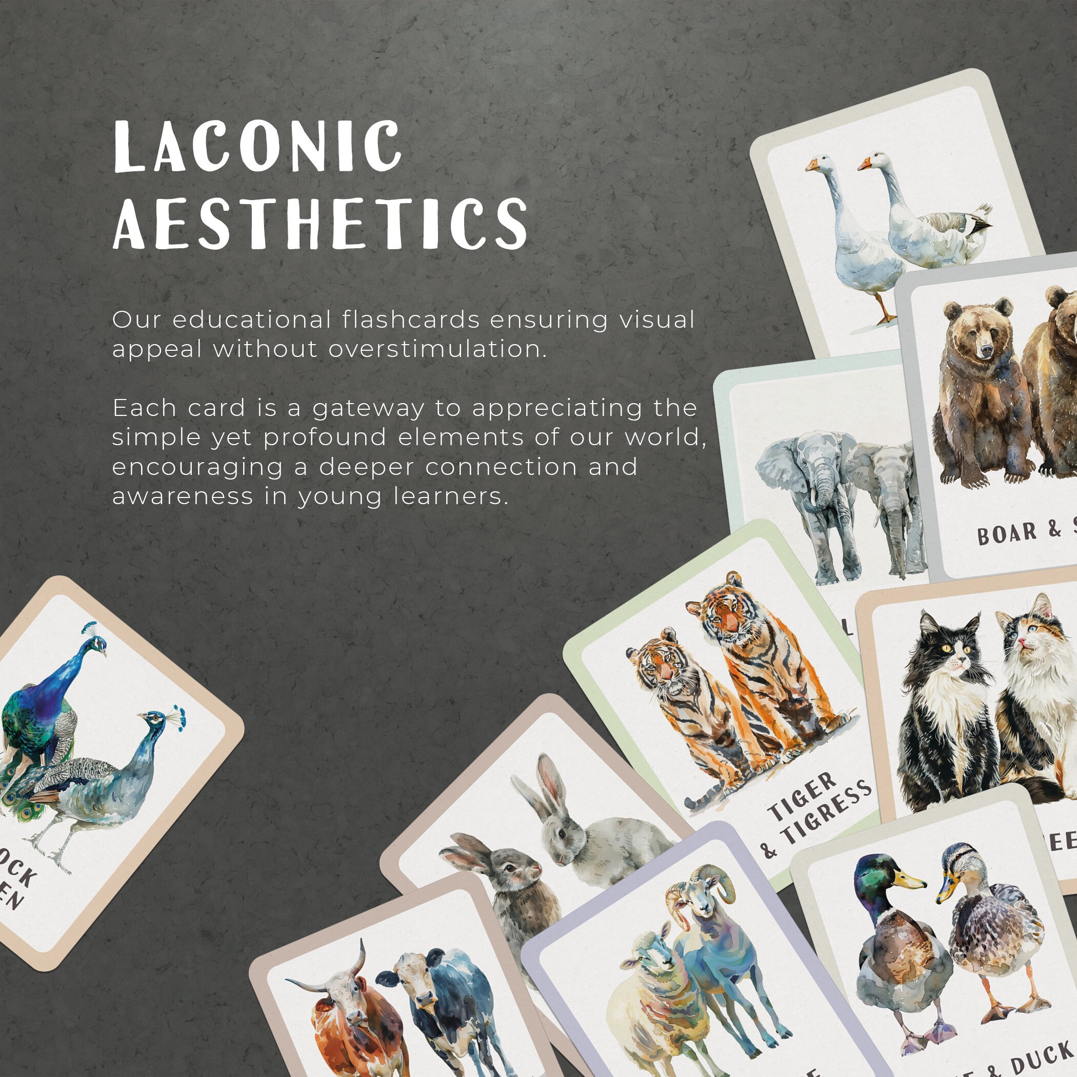 Montessori Animal Gender Cards Printable Flashcards for Kids Learning ...