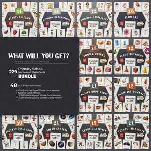 Montessori Flash Cards Primary School PDF Bundle - Printable ...