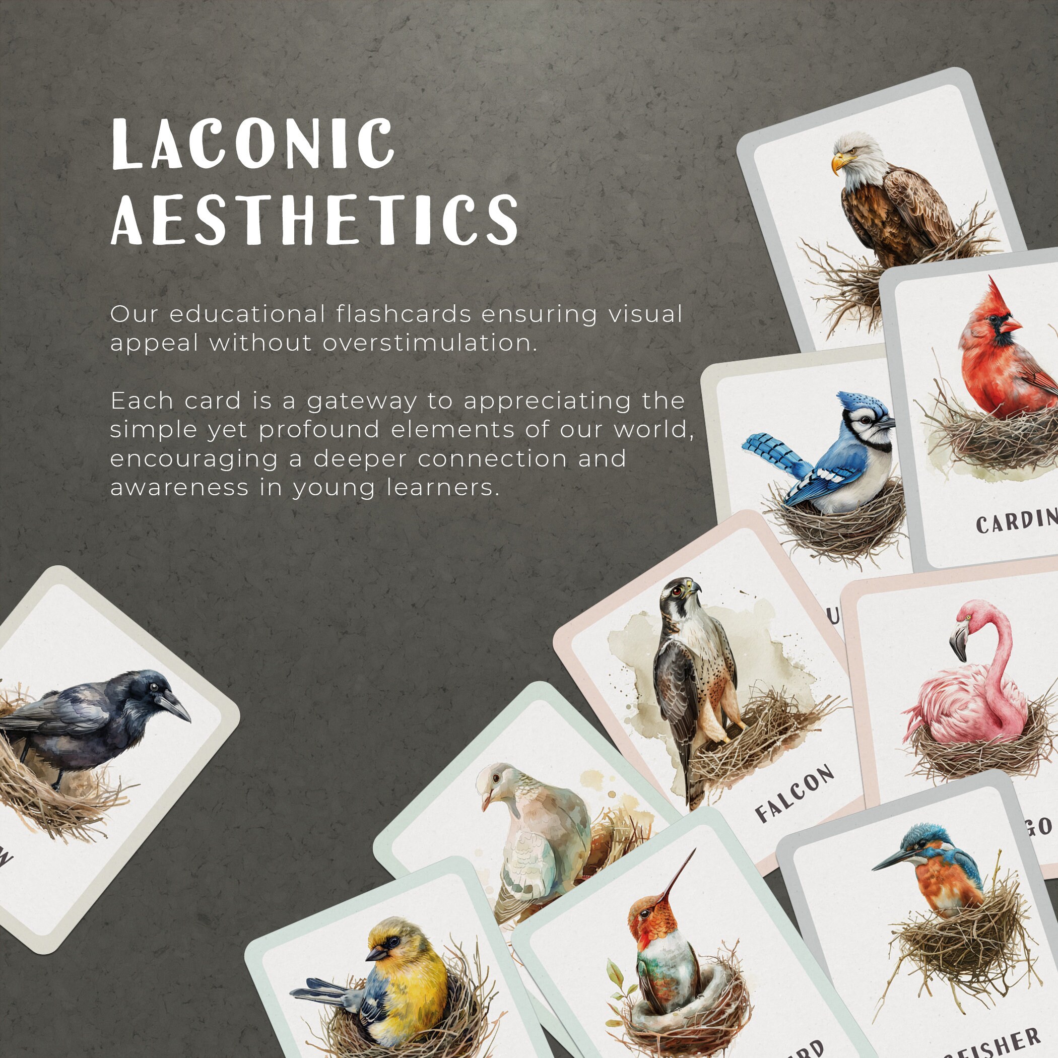 Montessori Cards: Birds and Their Nests - Educational Flashcards for ...