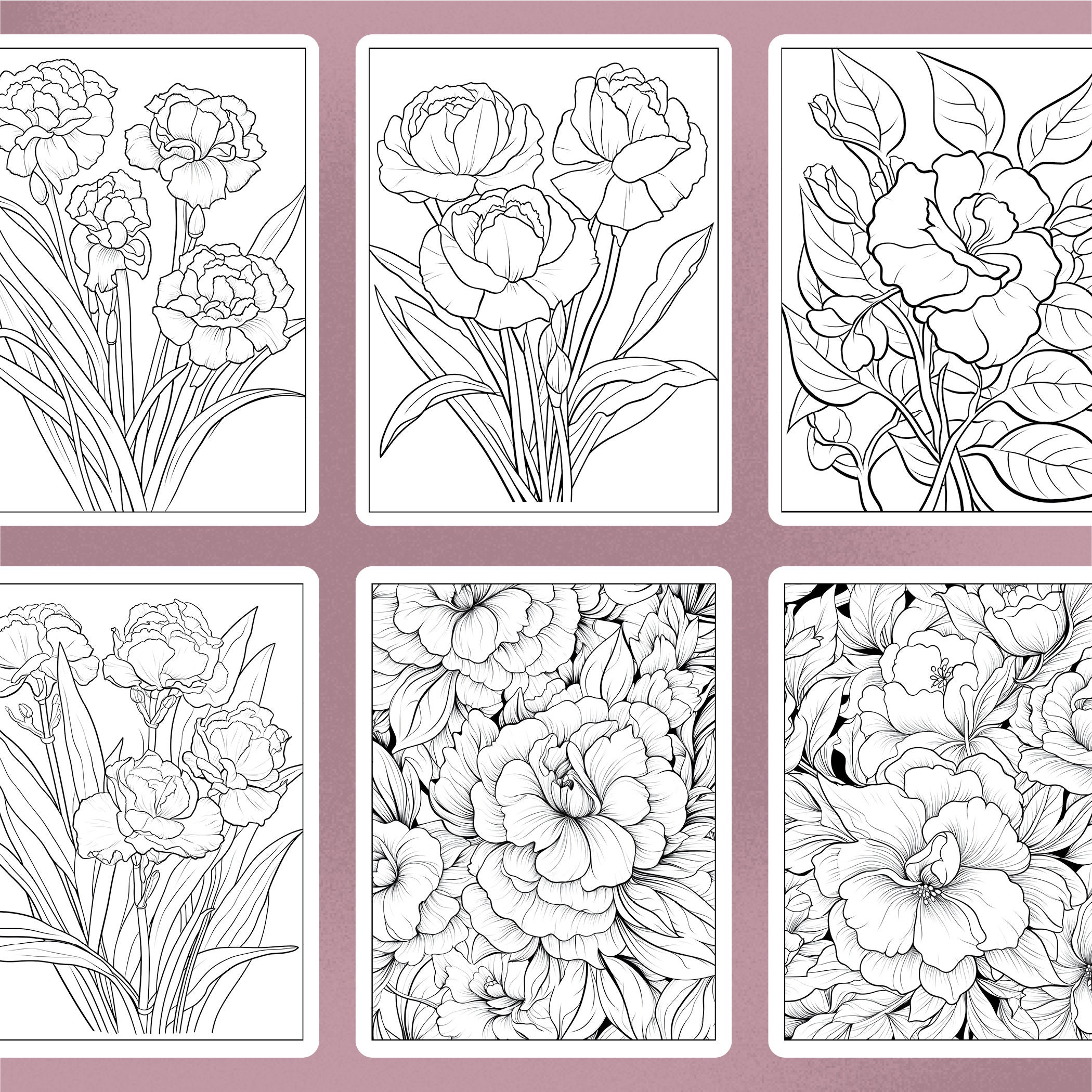 Flower Coloring Book Pages Collection Flower Illustrations - Etsy