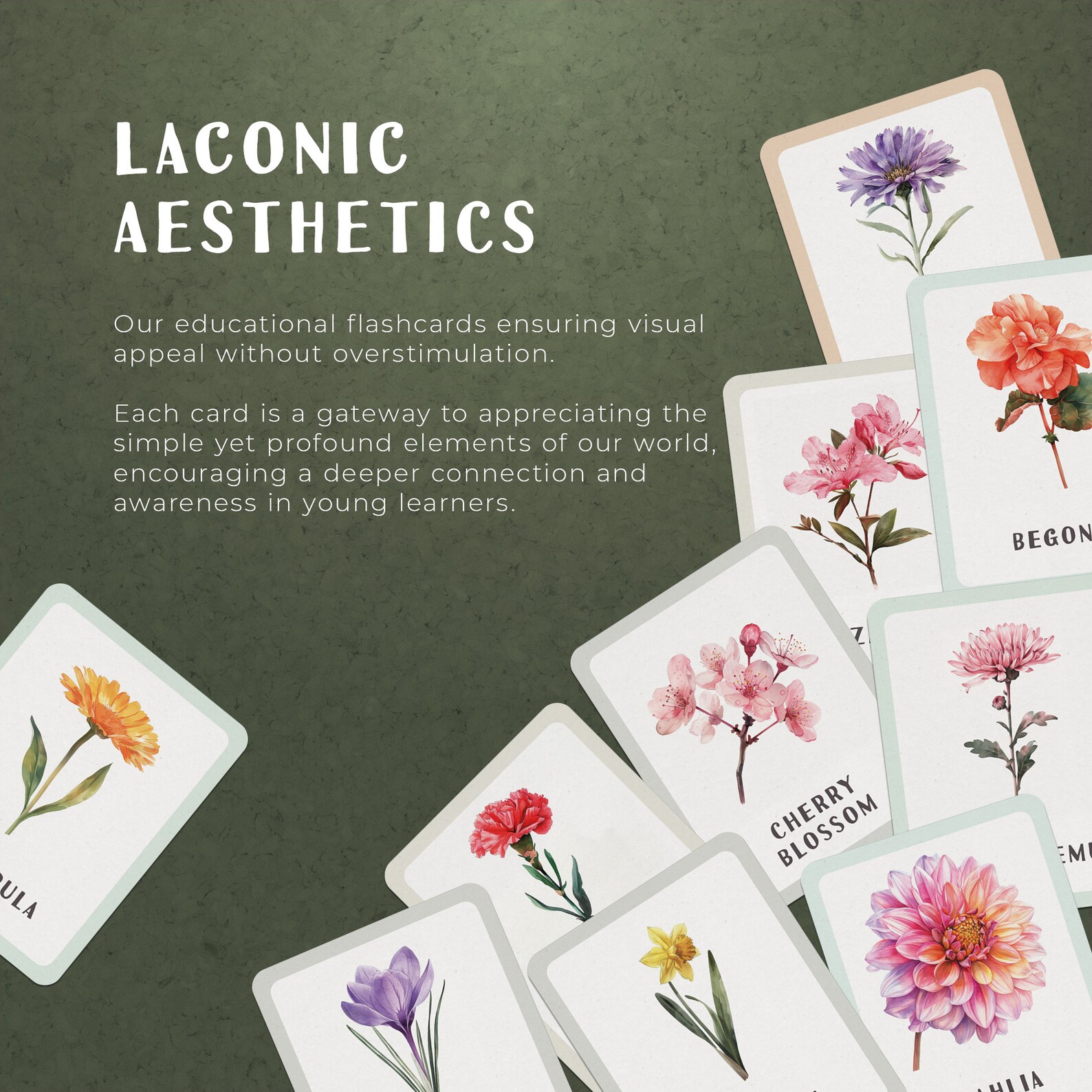 Montessori Flower Cards - Printable Educational Flashcards for Kids ...