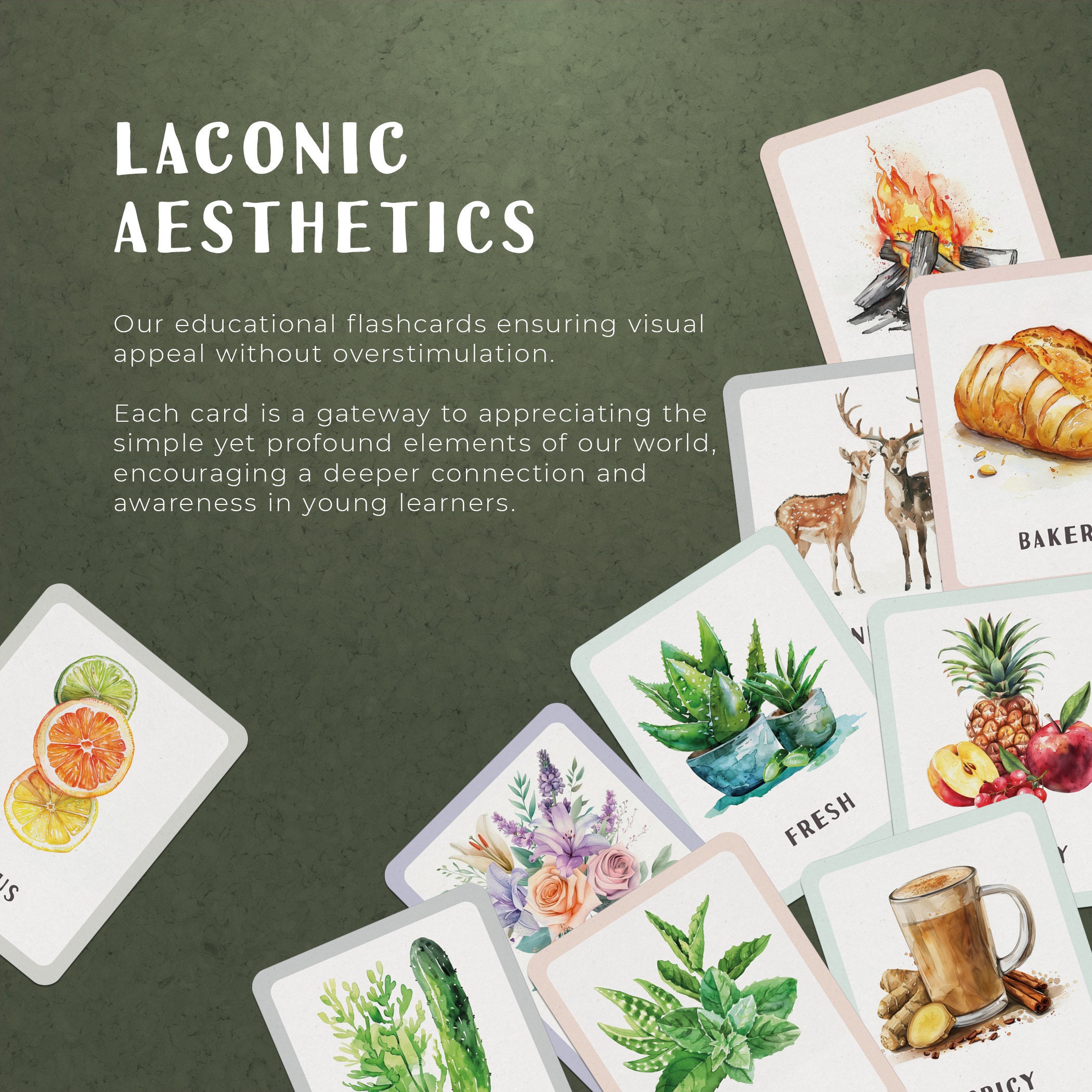 Montessori Smells Flash Cards - Sensory Learning for Kids, Toddlers ...