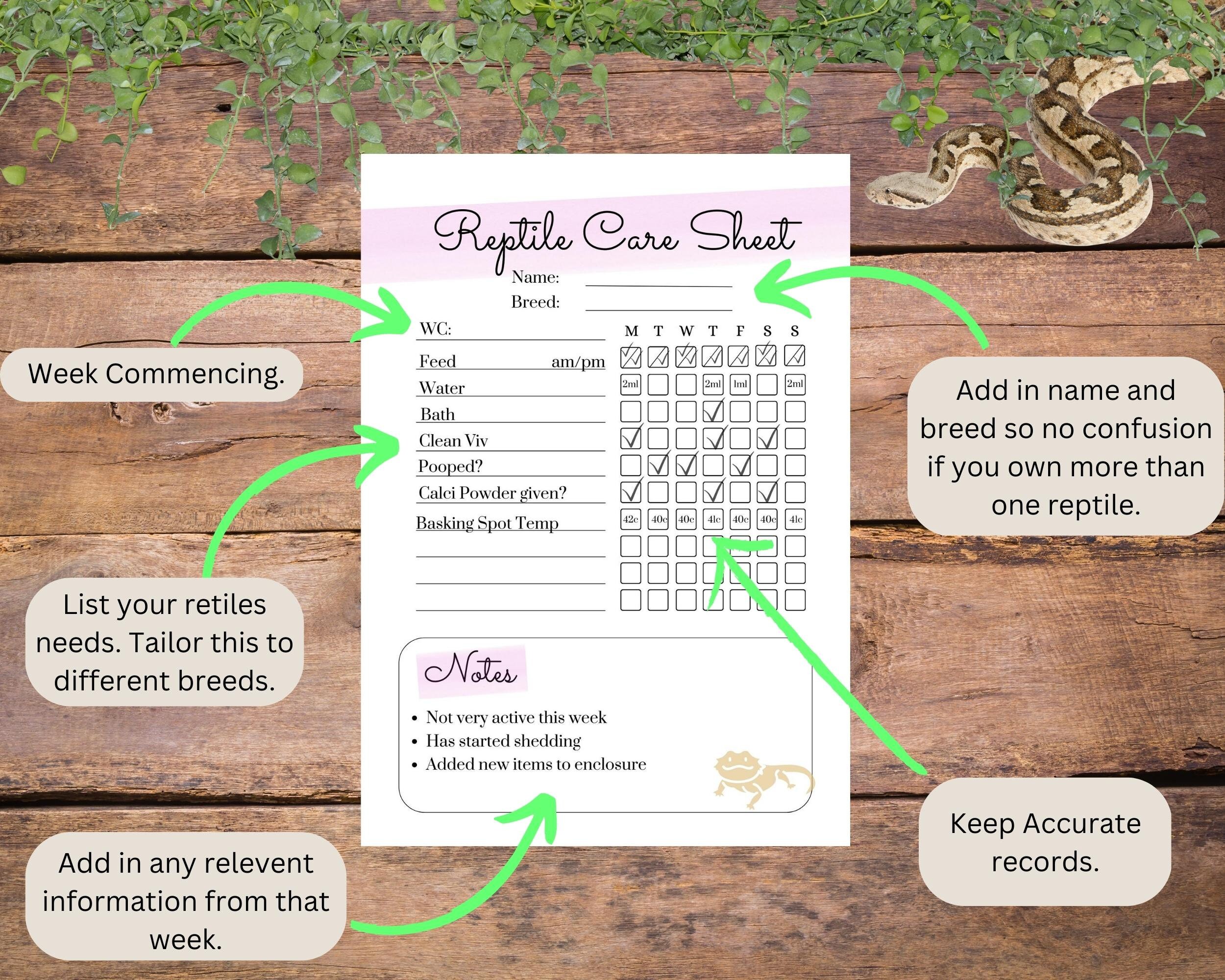 Bearded Dragon Daily Checklist | Printable Reptile Routine Log | Weekly ...