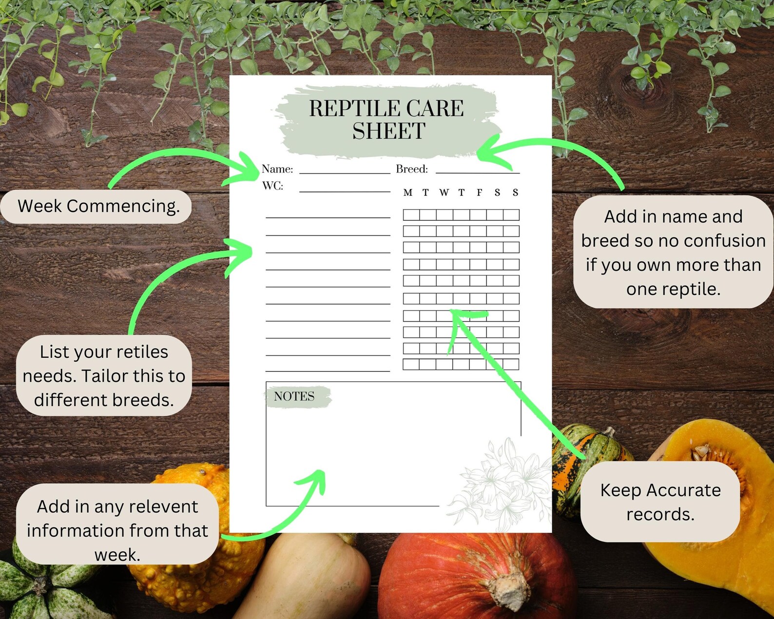 Printable Reptile Care Sheet A4 and A5 Instant Download Snake Health ...