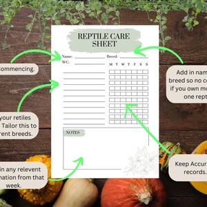 Printable Reptile Care Sheet A4 and A5 Instant Download Snake Health ...