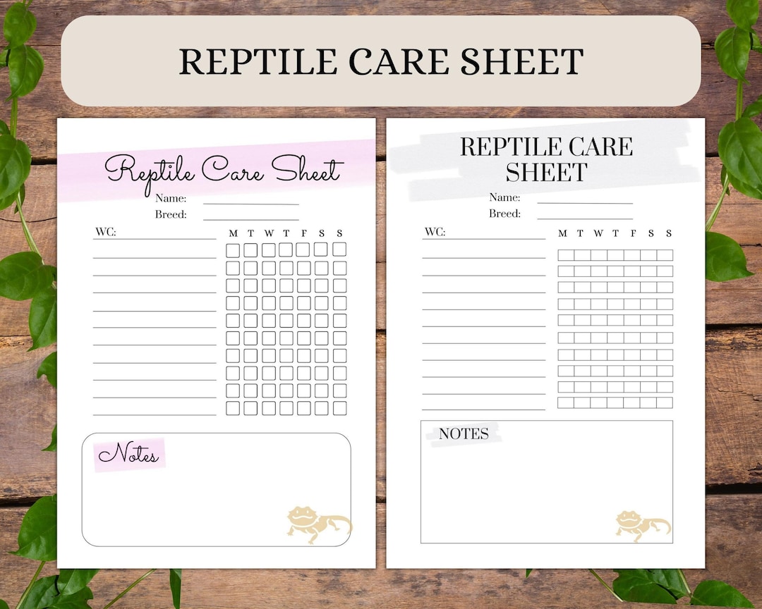 Bearded Dragon Daily Checklist | Printable Reptile Routine Log | Weekly ...