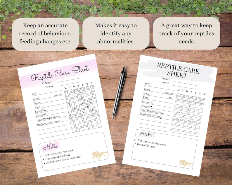 Bearded Dragon Daily Checklist | Printable Reptile Routine Log | Weekly ...