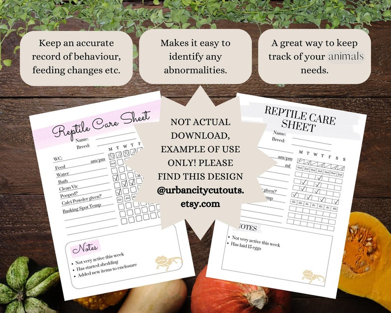 Printable Reptile Care Sheet A4 and A5 Available Instant Download ...