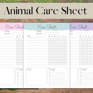 Printable Reptile Care Sheet A4 and A5 Available Instant Download ...