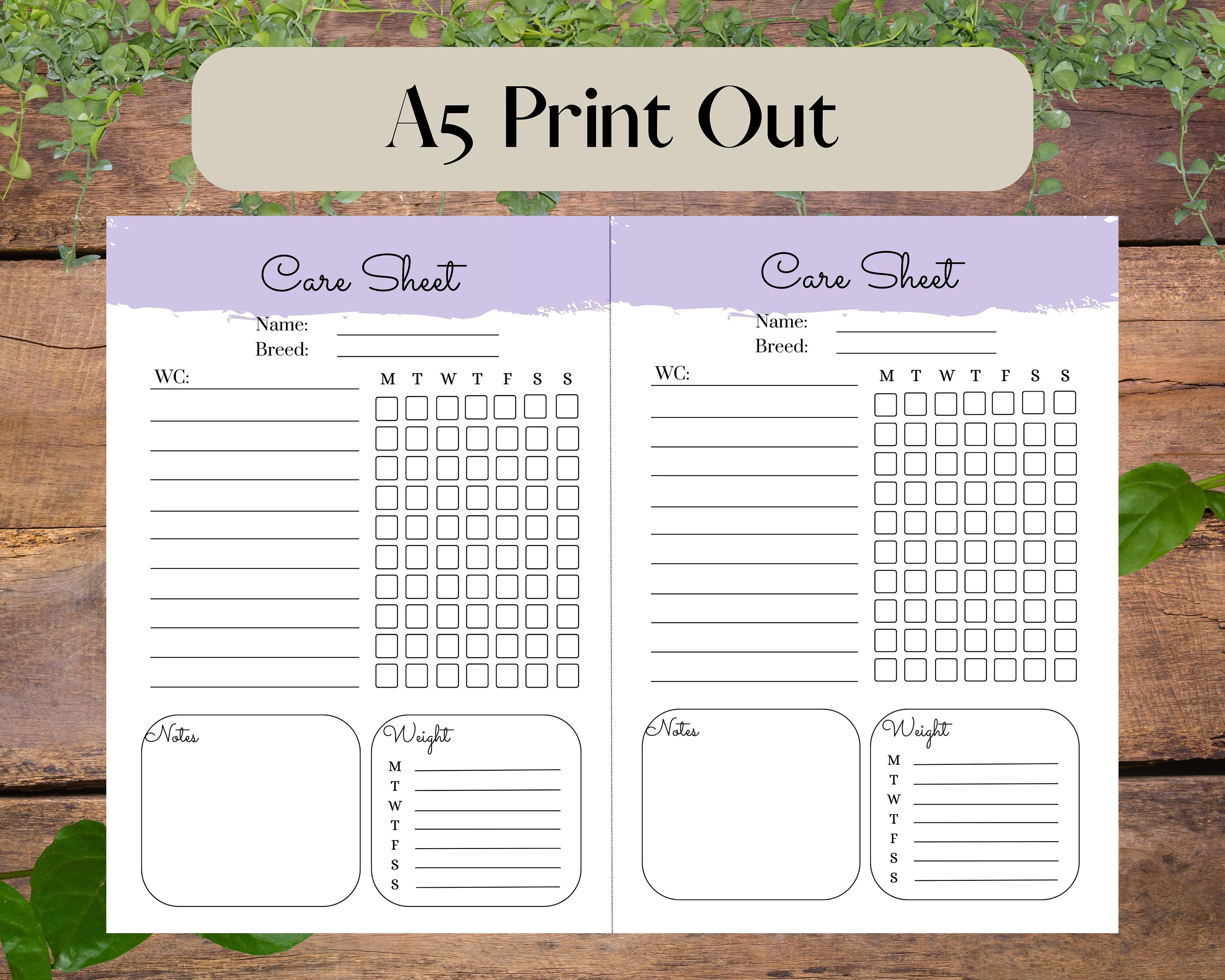 Printable Reptile Care Sheet A4 and A5 Available Instant Download ...