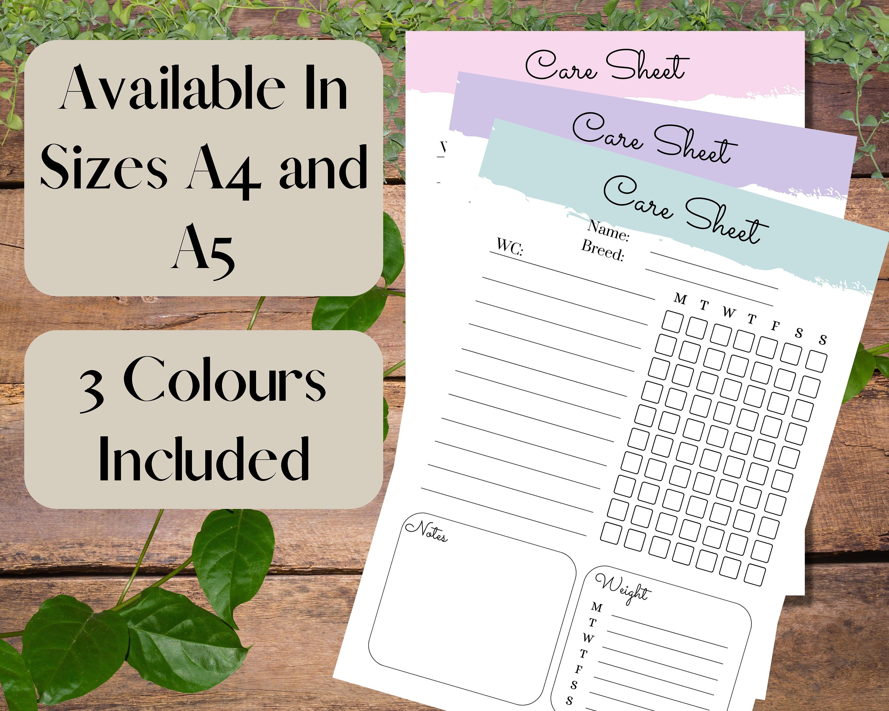 Printable Reptile Care Sheet A4 and A5 Available Instant Download ...