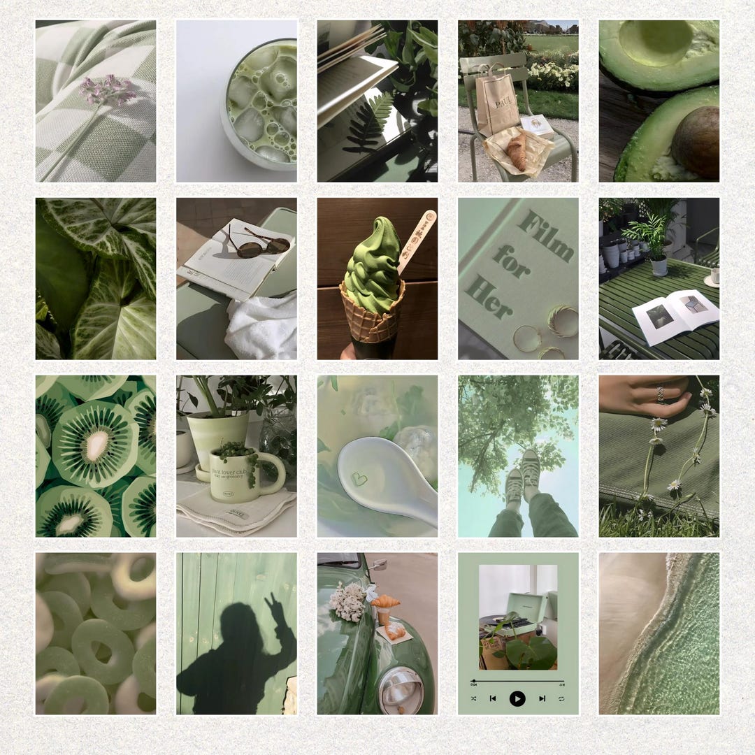 65 PCS Aesthetic Greenery and Minimalist Decor Botanical Wall Collage ...