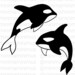 Killer Whale Orca Clipart Unique Hand Made Design for Crafting DIY Cut ...