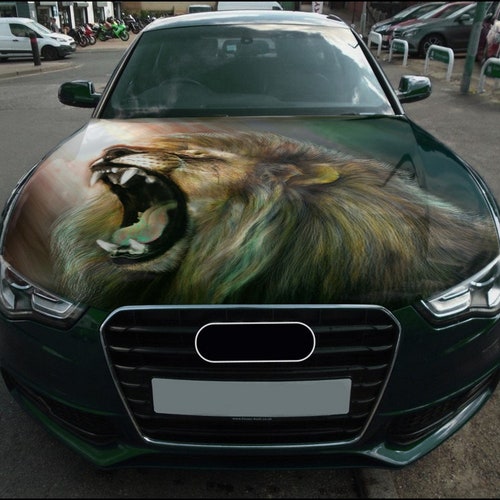 Skull Car Hood Wrap Full Color Vinyl Decal Skeleton Sticker - Etsy