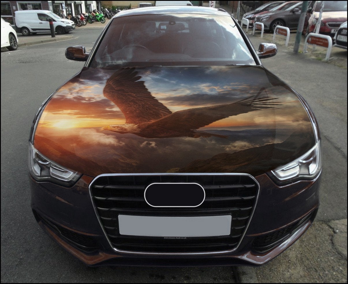 Bald Eagle Car Hood Wrap Full Color Vinyl Decal Predatory Bird Sticker ...