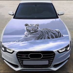 White Tiger Car Hood Wrap Full Color Vinyl Decal Predator Sticker - Etsy