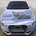 White Tiger Car Hood Wrap Full Color Vinyl Decal Predator Sticker - Etsy