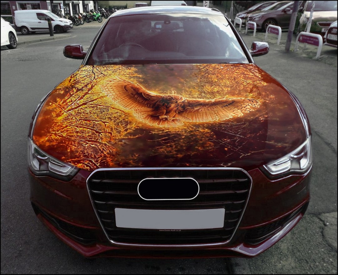 Owl Car Hood Wrap Full Color Vinyl Decal Predatory Bird Sticker - Etsy