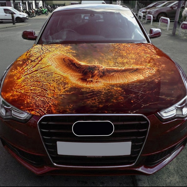 Owl Car Decal - Etsy