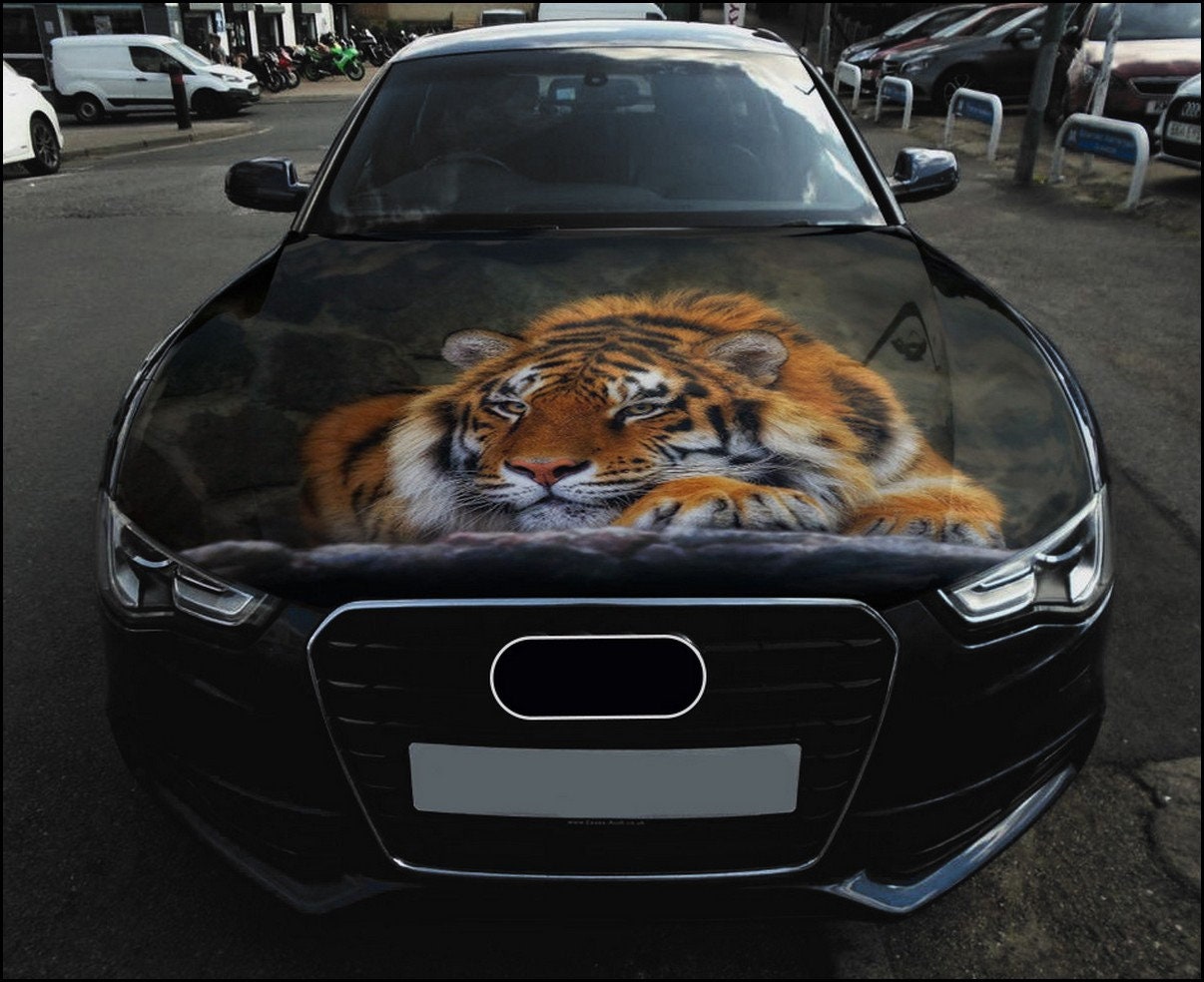 Tiger Car Hood Wrap Full Color Vinyl Decal Predator Sticker 4 - Etsy