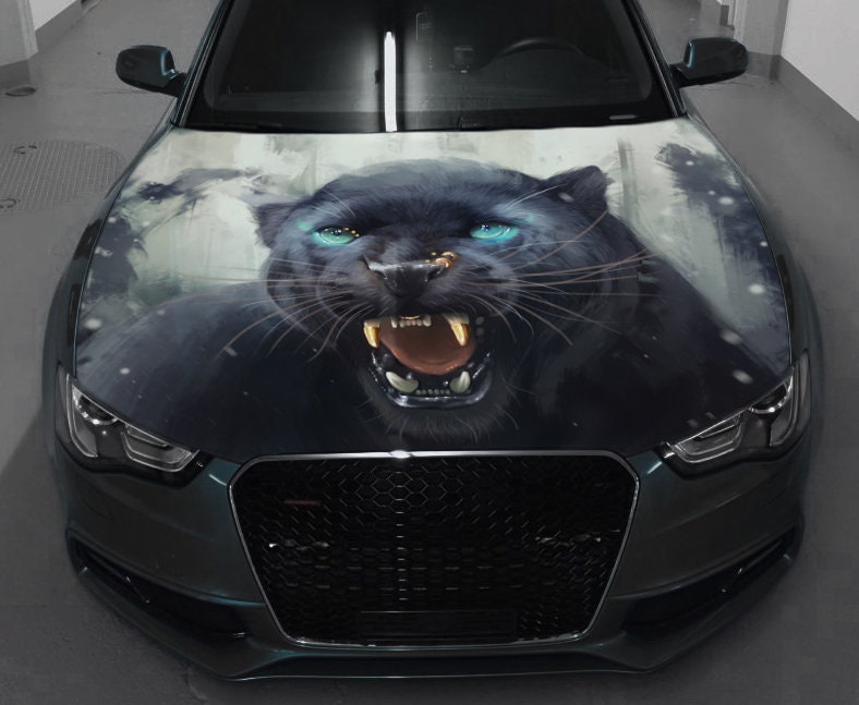 Cool Vinyl Graphics Ideas