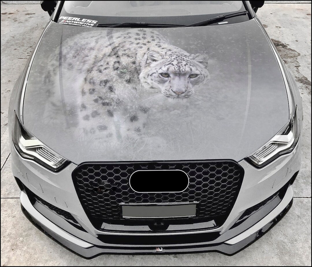 Snow Leopard Car Hood Wrap Full Color Vinyl Decal Wild Cat Sticker - Etsy