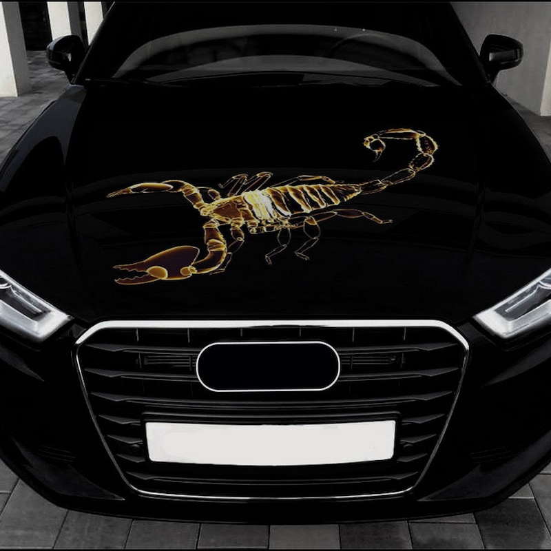 Scorpion Car Decal - Etsy