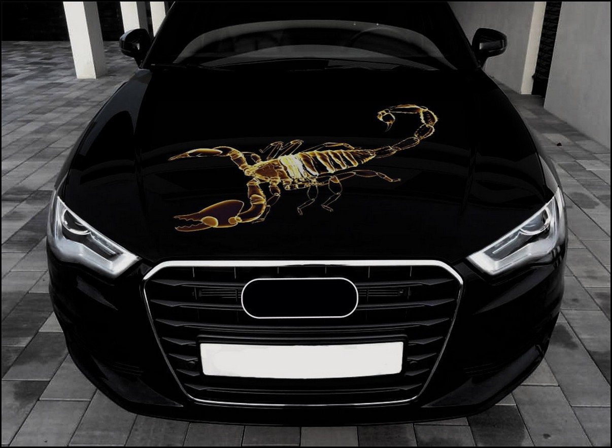 Scorpion Car Hood Wrap Full Color Vinyl Decal Insect Sticker - Etsy