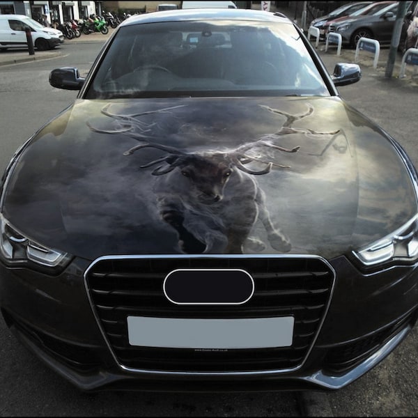 Full Color Decals - Etsy