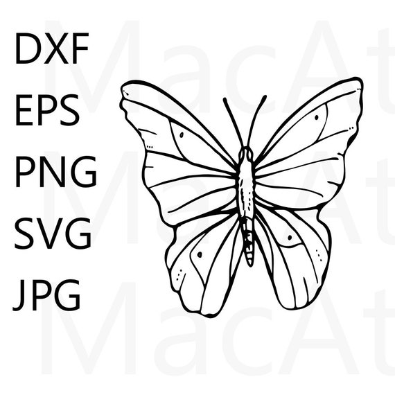 Cute Stencil Designs