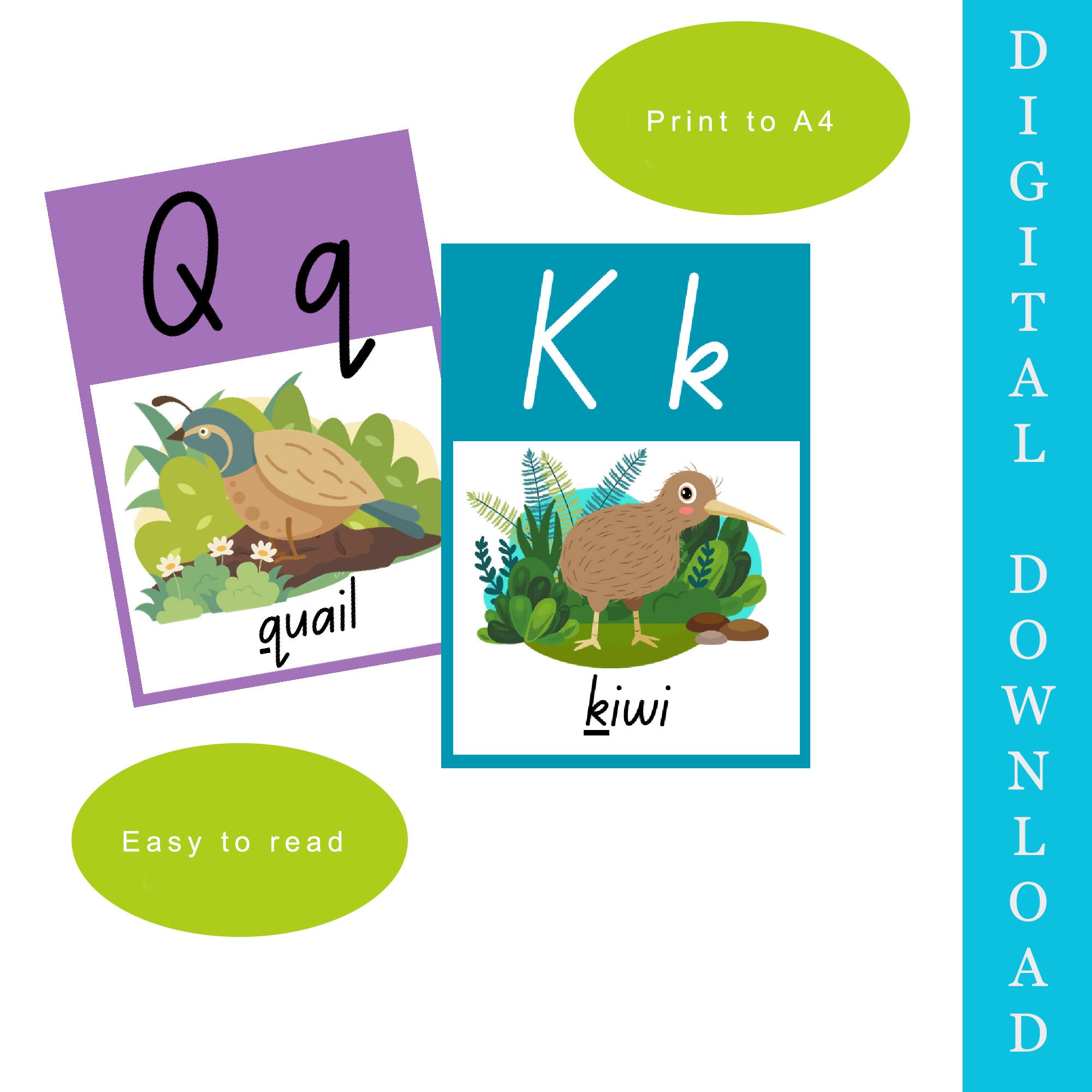 Printable Animal Alphabet Cards and Poster for Home or Classroom ...