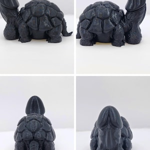 3d Printed Dickie Turtles - Etsy