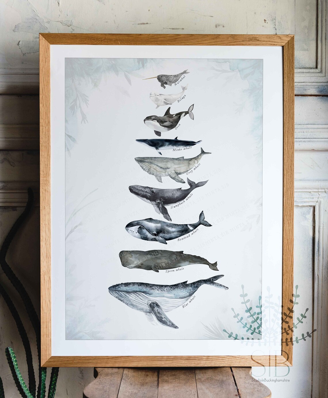Whales, PRINTABLE Whales Size Comparison Chart Wall Art, Watercolour ...